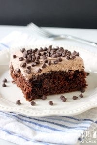 Skinny Chocolate Cake Recipe - Belle of the Kitchen