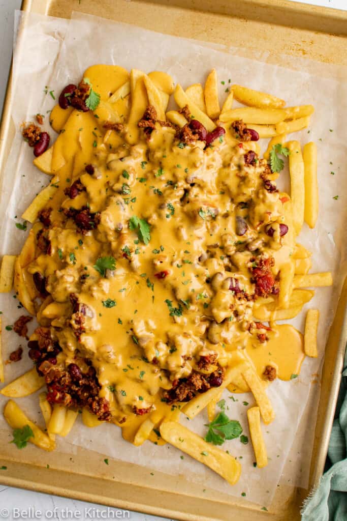 Chili Cheese Fries Recipe - Belle of the Kitchen
