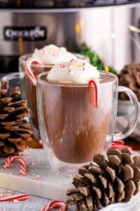 Polar Express Hot Chocolate Recipe - Belle of the Kitchen