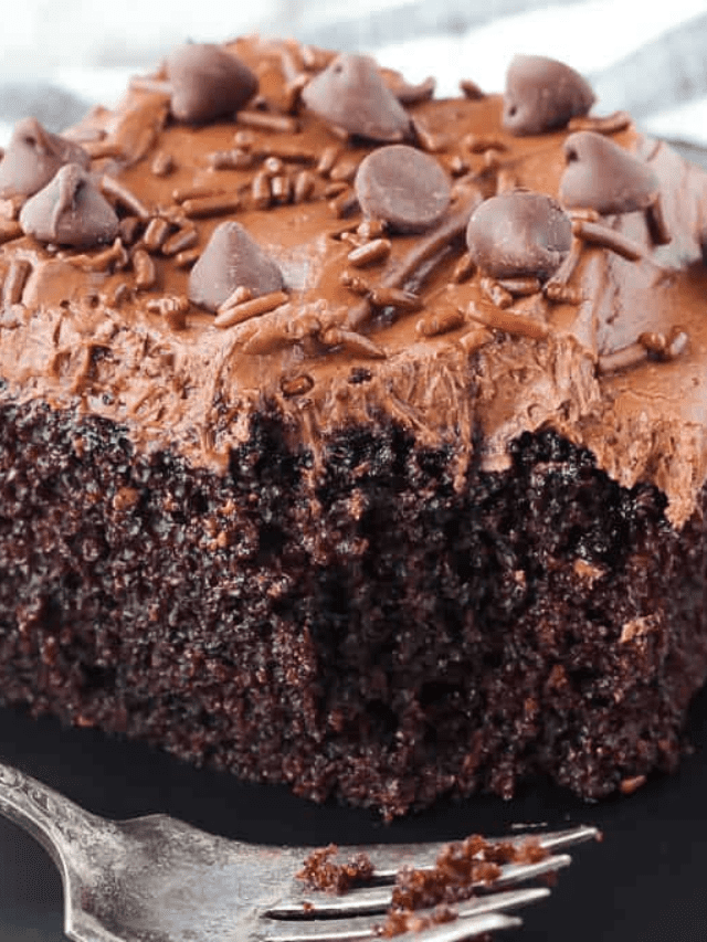 The Best Homemade Chocolate Cake Story - Belle of the Kitchen