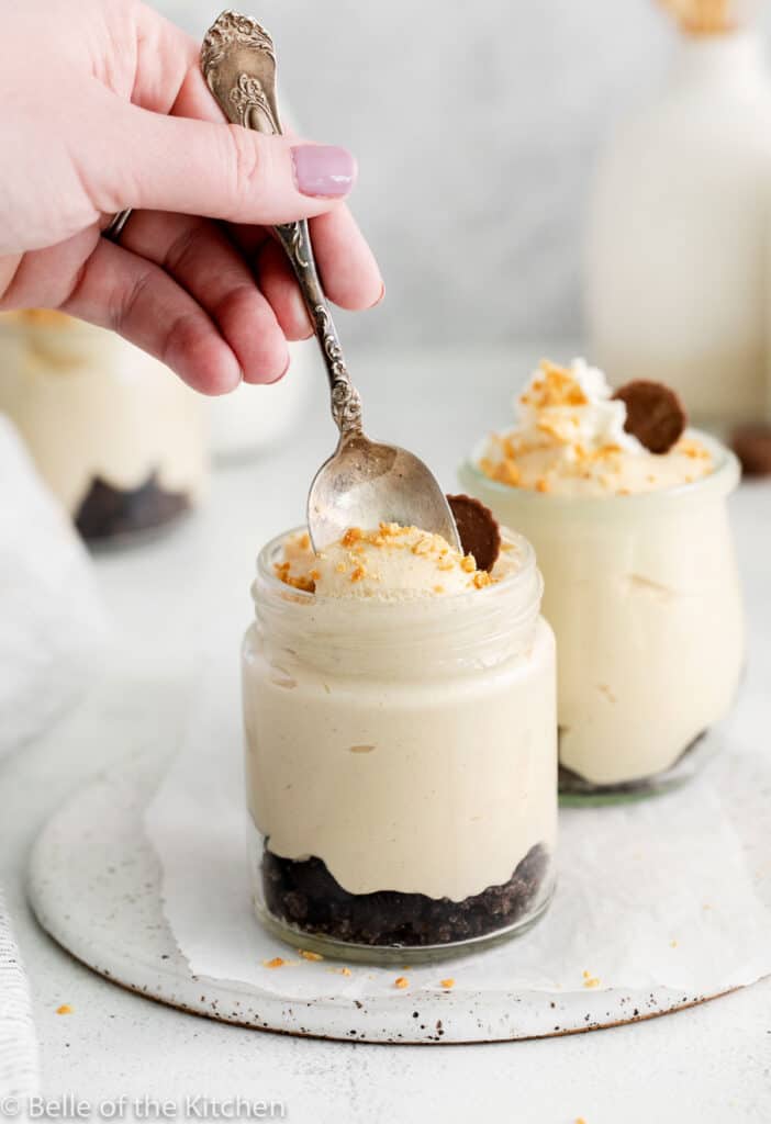 Peanut Butter Mousse - Belle of the Kitchen