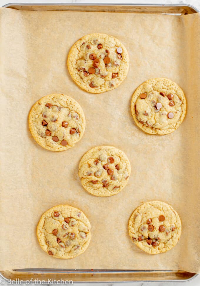 Small Batch Chocolate Chip Cookies - Belle of the Kitchen