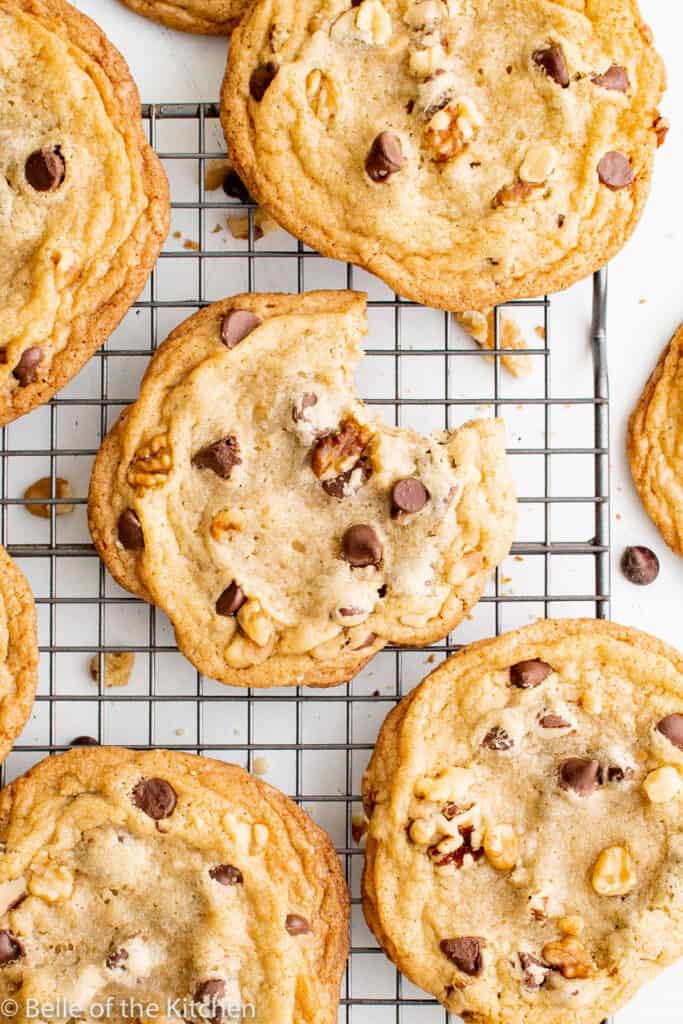 Chocolate Chip Walnut Cookies - Belle of the Kitchen