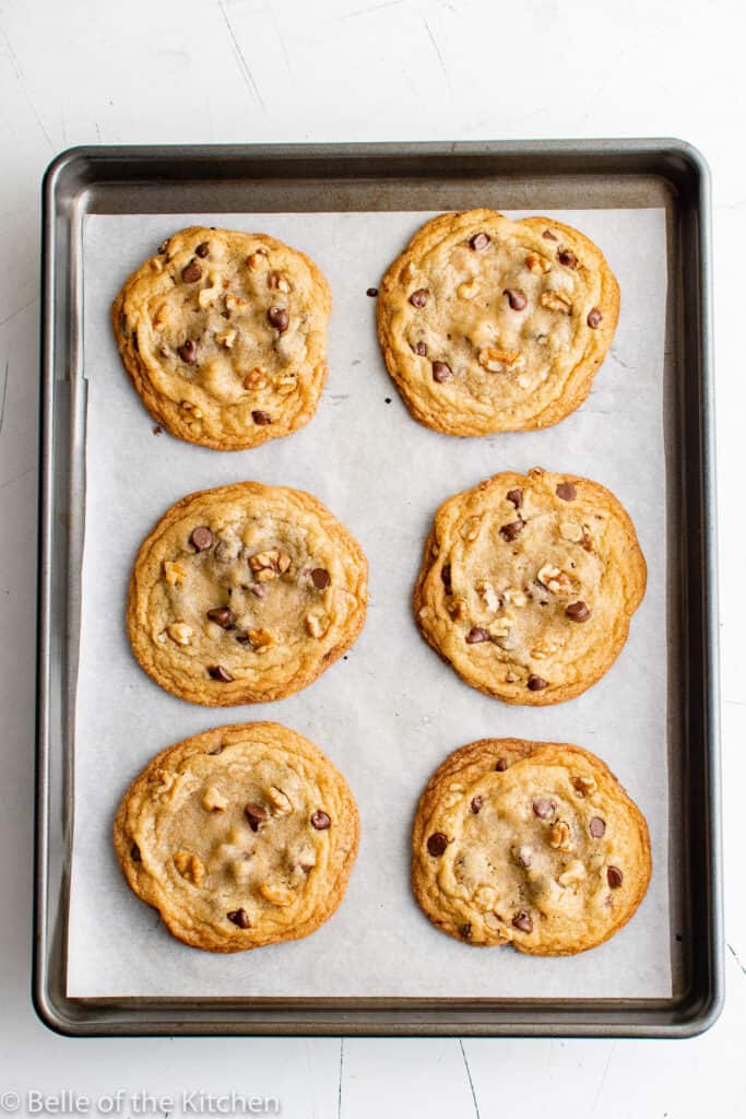 Chocolate Chip Walnut Cookies - Belle of the Kitchen