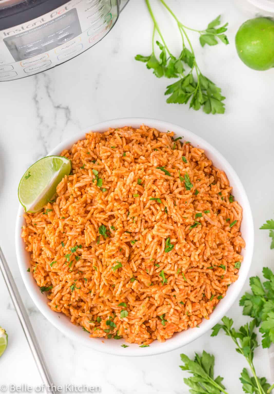 Instant Pot Mexican Rice - Belle of the Kitchen
