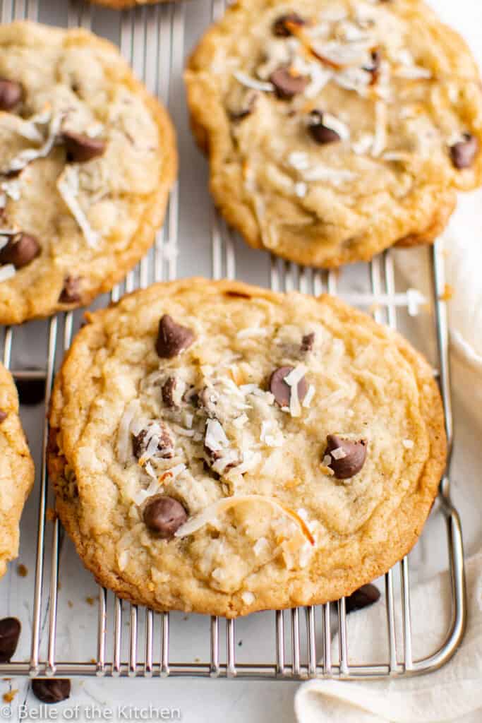 Coconut Chocolate Chip Cookies - Belle of the Kitchen