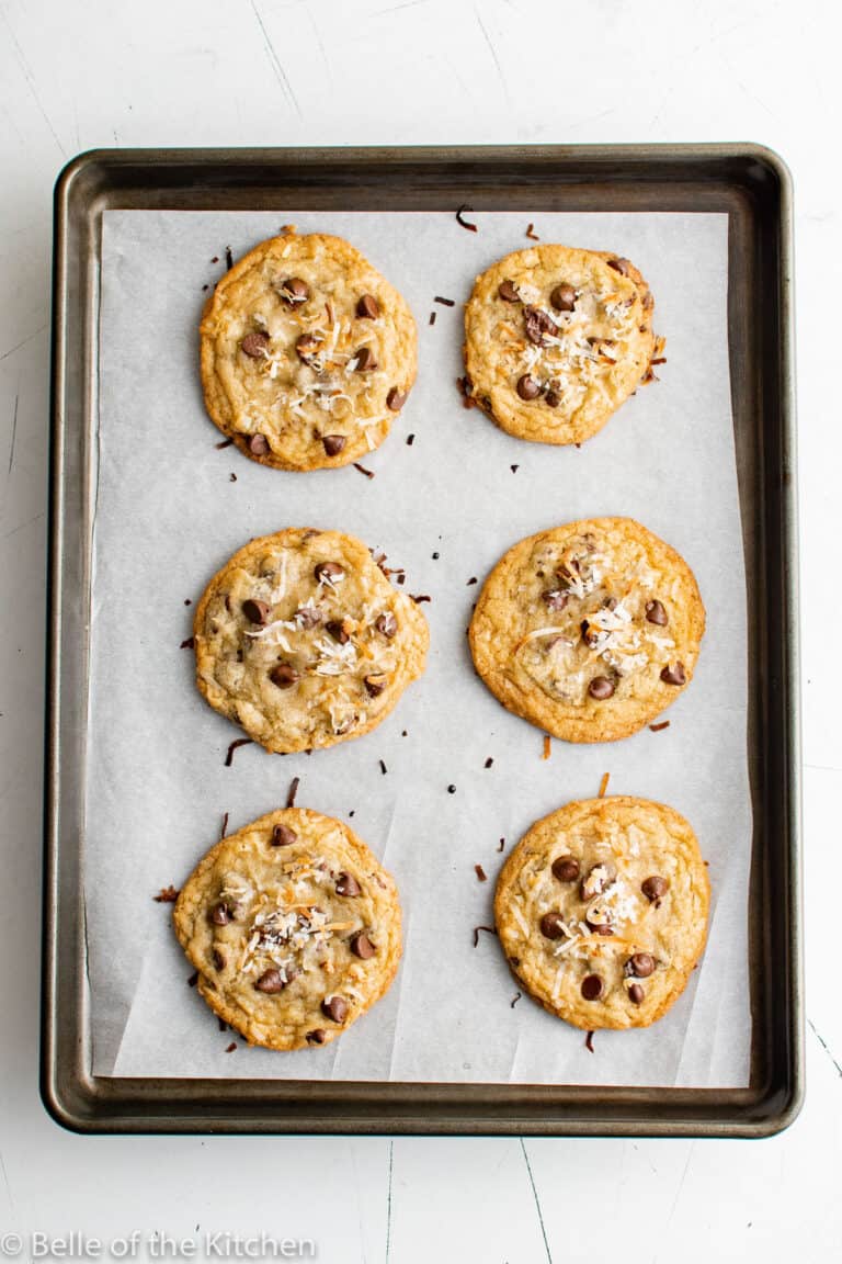 Coconut Chocolate Chip Cookies - Belle of the Kitchen