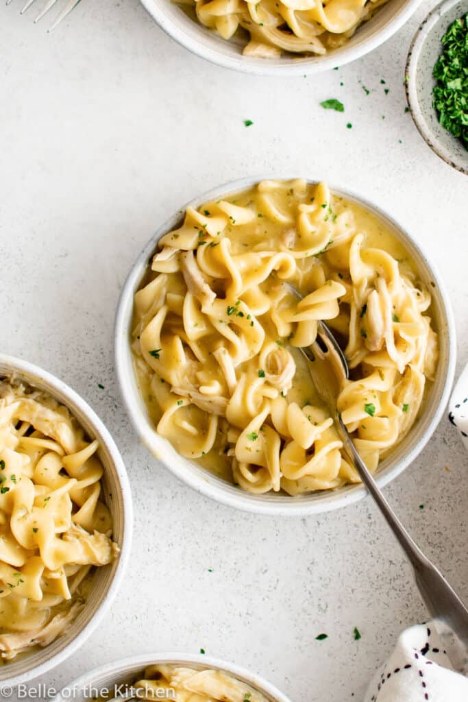 Instant Pot Chicken and Noodles - Belle of the Kitchen