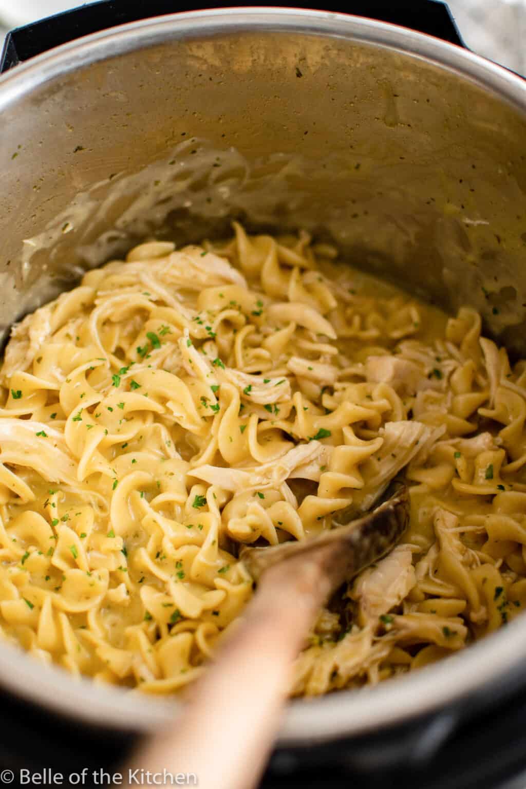 Instant Pot Chicken and Noodles - Belle of the Kitchen