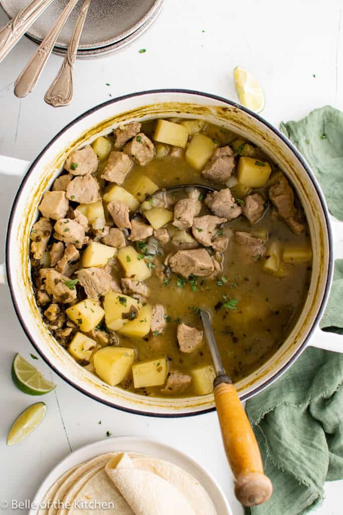 Green Chile Stew Recipe - Belle of the Kitchen
