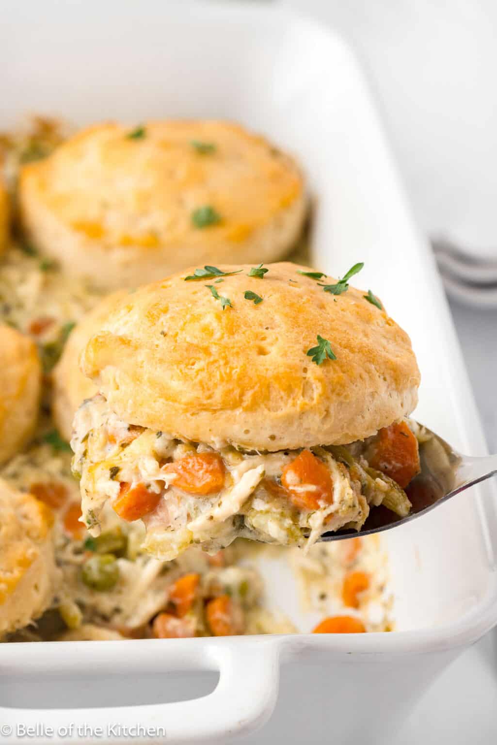 Chicken Cobbler Recipe - Belle of the Kitchen