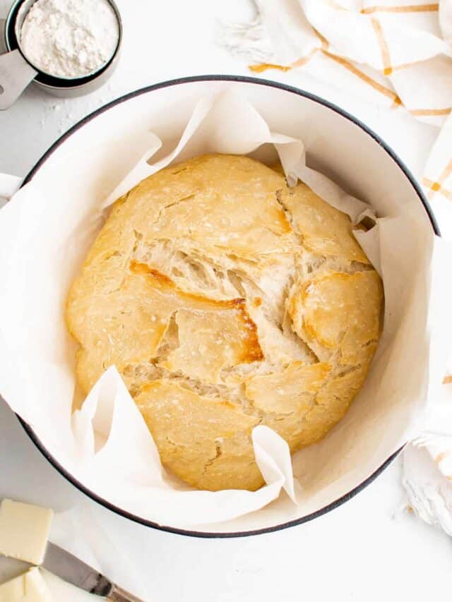 Dutch Oven Bread Recipe (No Knead!) Story - Belle of the Kitchen