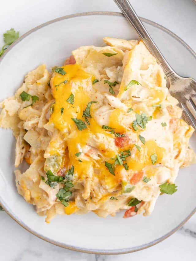 King Ranch Chicken Recipe Story - Belle of the Kitchen
