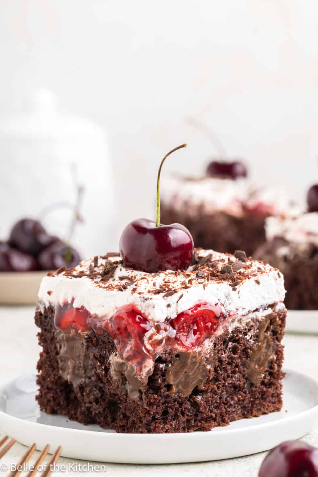 Easy Cherry Chocolate Cake - Belle of the Kitchen