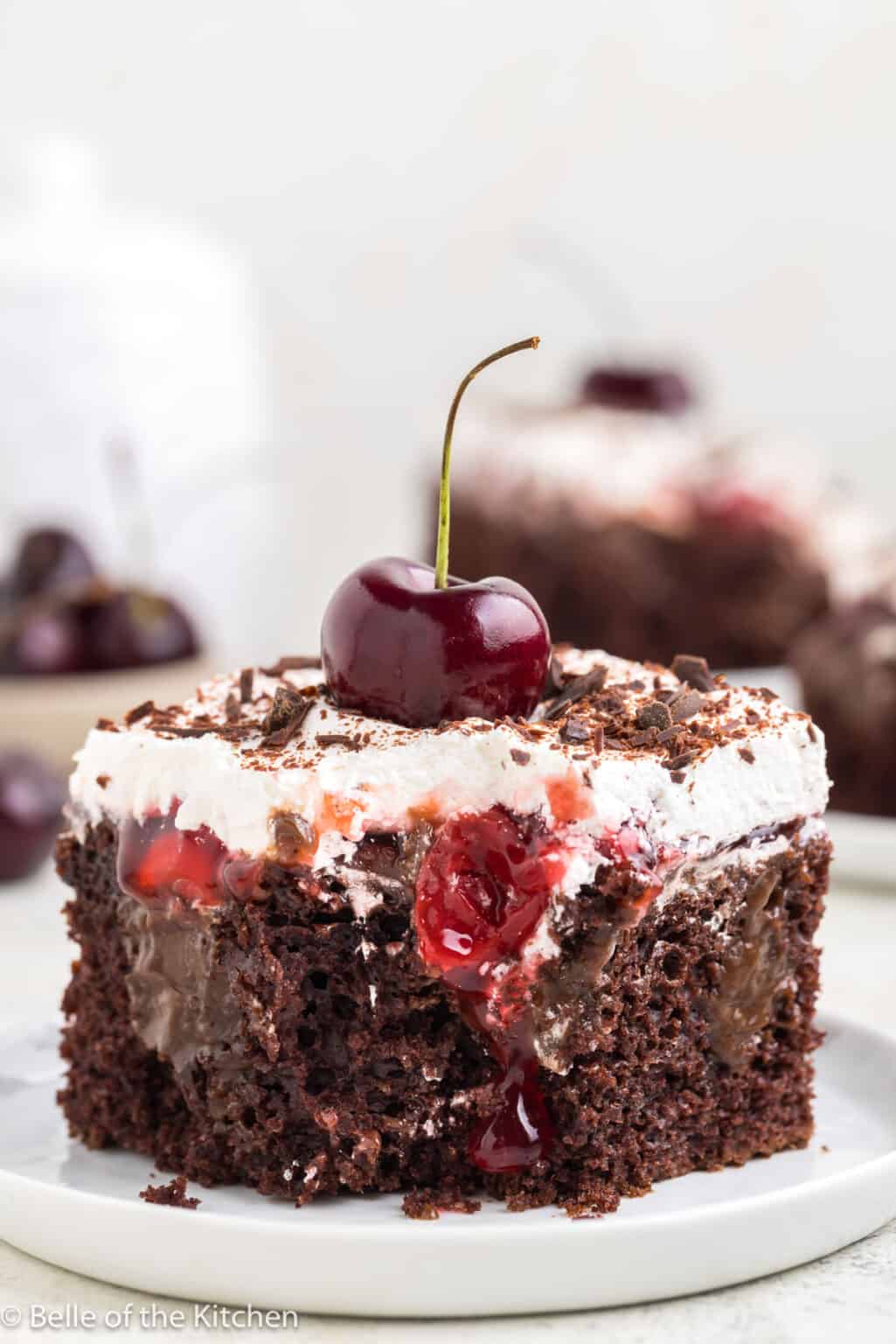 Easy Cherry Chocolate Cake - Belle of the Kitchen