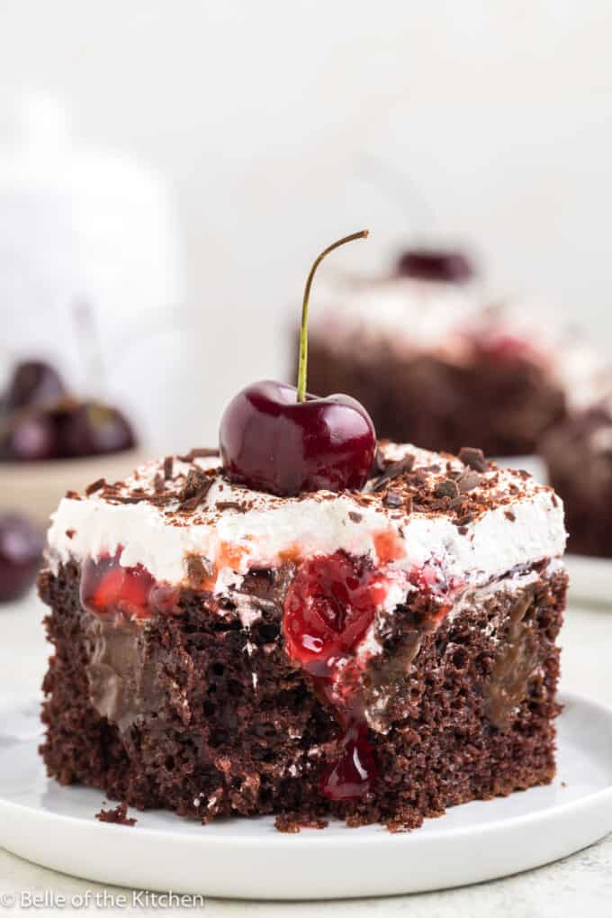 Easy Cherry Chocolate Cake - Belle of the Kitchen