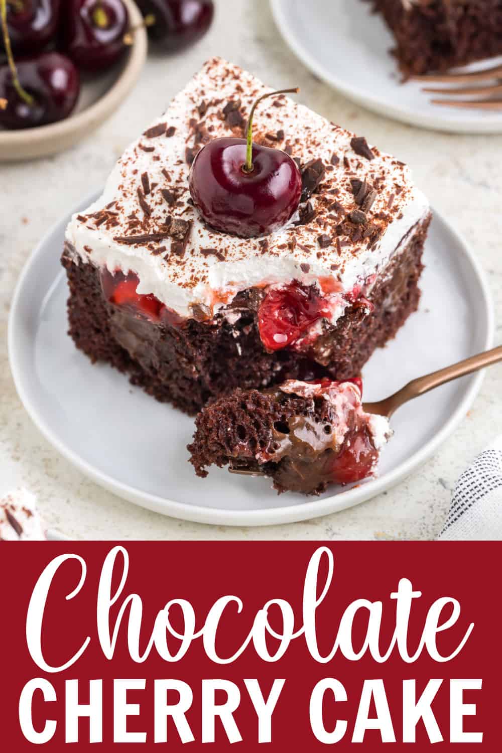 Easy Cherry Chocolate Cake - Belle of the Kitchen