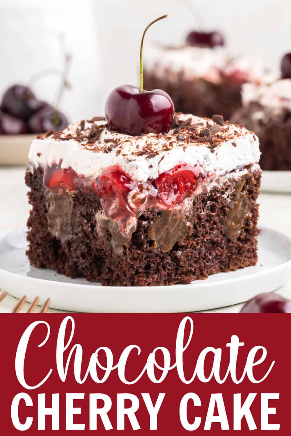 Easy Cherry Chocolate Cake - Belle of the Kitchen
