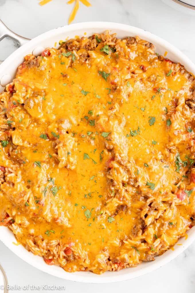 Mexican Beef and Rice Skillet - Belle of the Kitchen