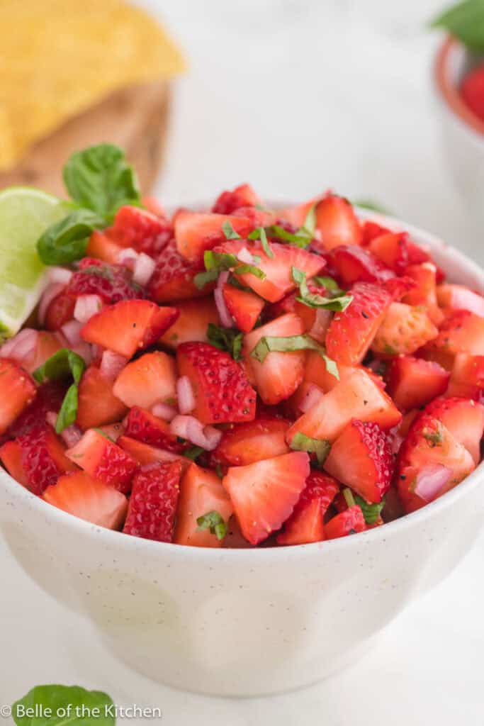 Easy Strawberry Salsa Recipe - Belle of the Kitchen