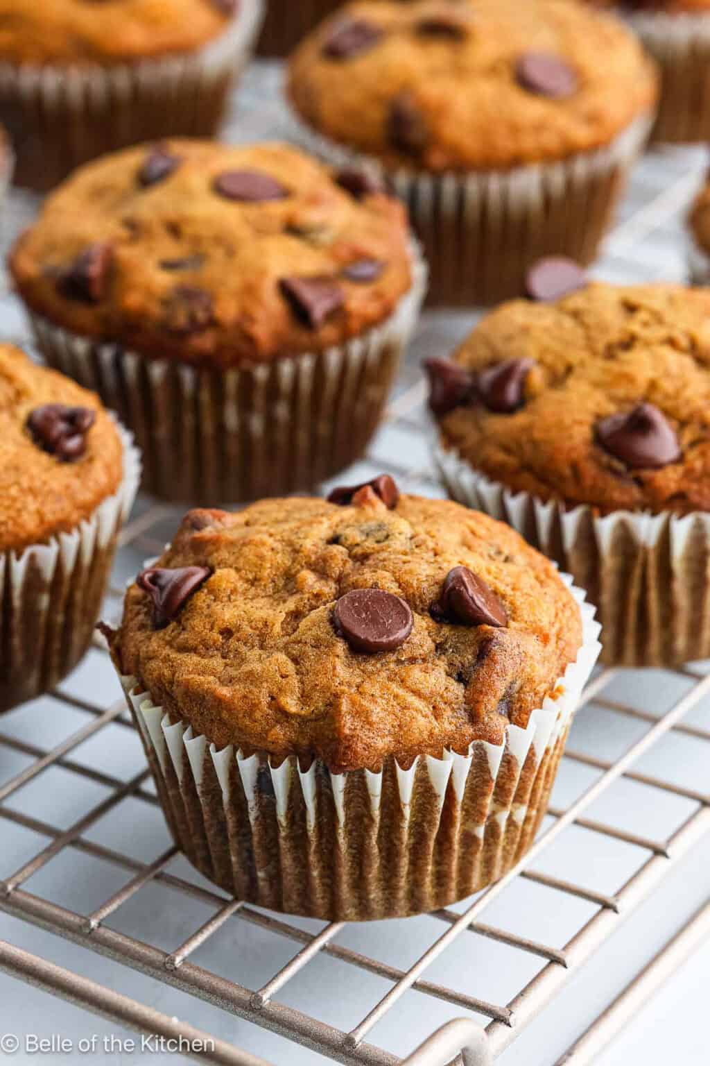 Pumpkin Chocolate Chip Muffins - Belle of the Kitchen